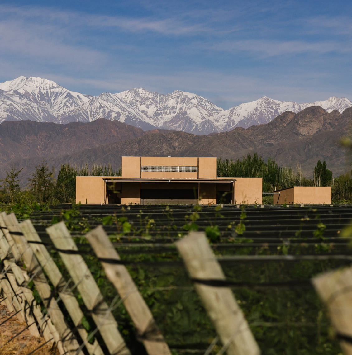 Finca Bandini House of Wines. Experiencia única en Mendoza.